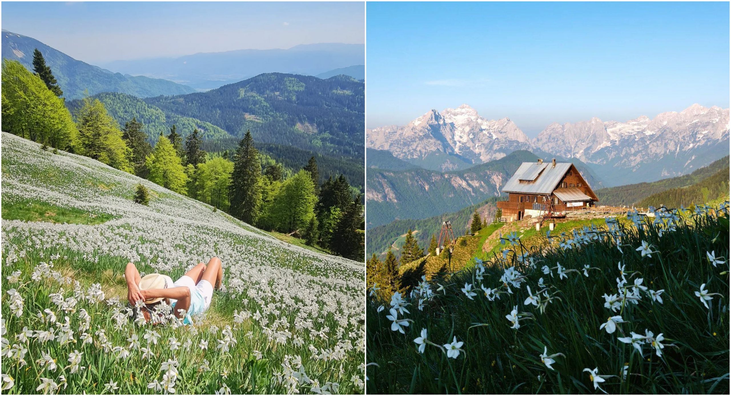 Izlet iz snova: Vikend na Golici, planini koja se uskoro pretvara u ...